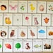Nature Alphabet Flashcards: Watercolor ABC Cards (printable) - Etsy