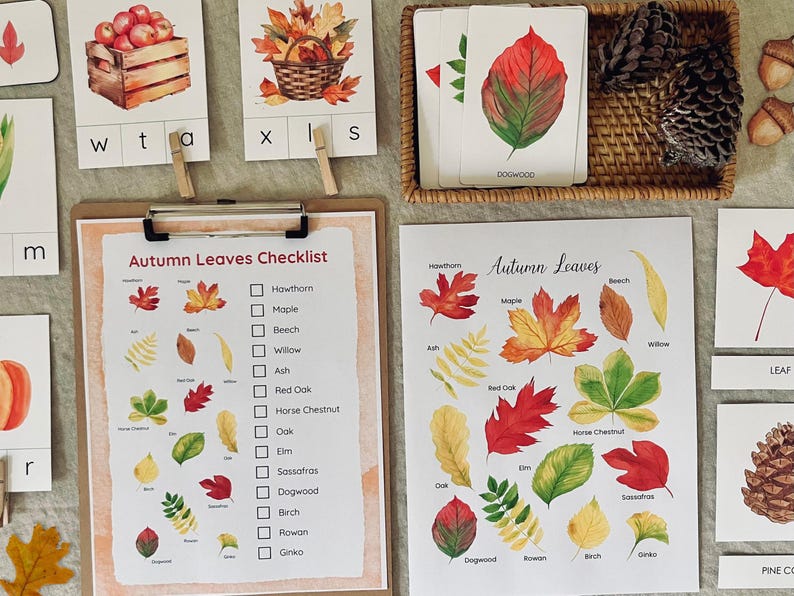 Fall Homeschool Printables: Autumn Nature Study, Leaf Identification ...