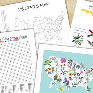 50 States Unit Study: US Geography, State Maps & Flashcards (PDF) - Etsy