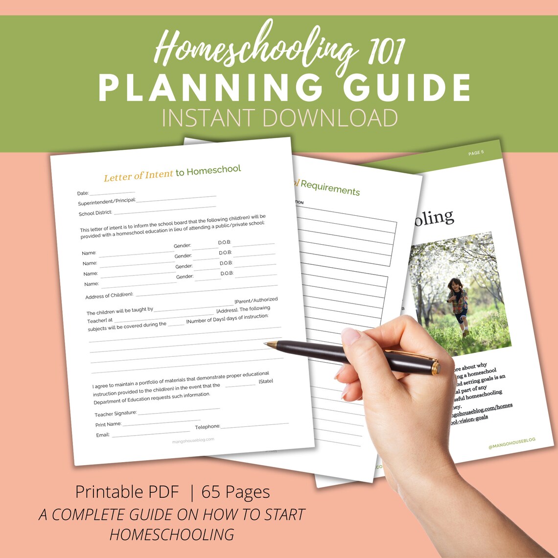 Homeschooling 101 Planning Guide for Beginners, How to Homeschool Guide ...