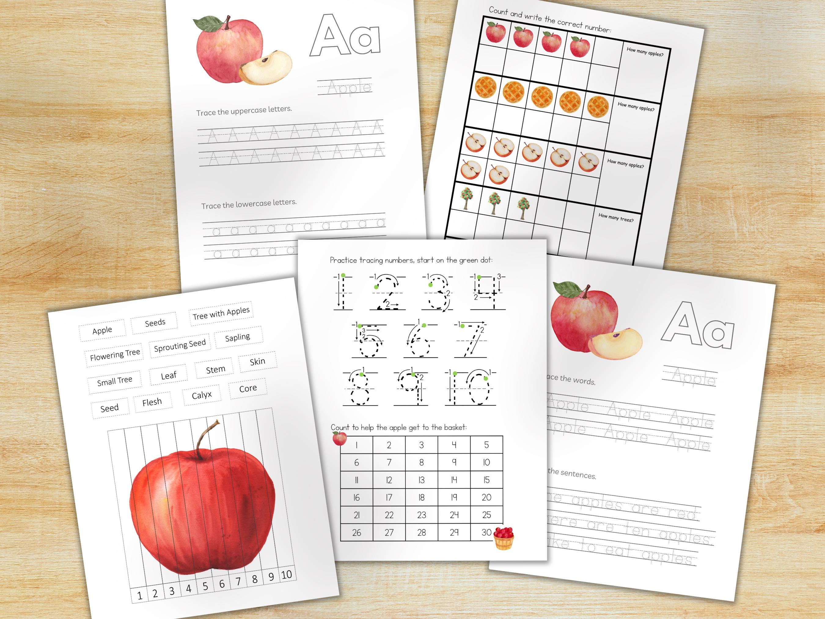Apple Unit Study Homeschool Printable, Apple Life Cycle Worksheets ...