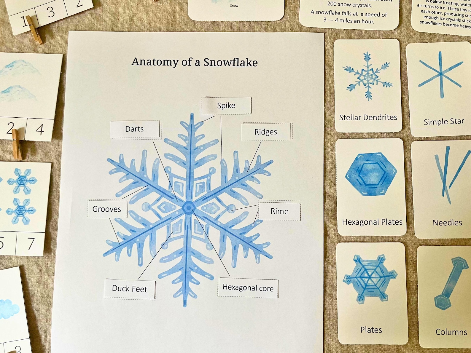 Snowflake Unit Study, Homeschool Worksheets, Snowflake Activity Sheets ...