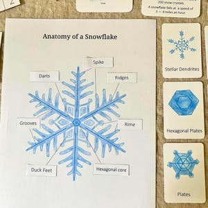 Snowflake Unit Study, Homeschool Worksheets, Snowflake Activity Sheets ...