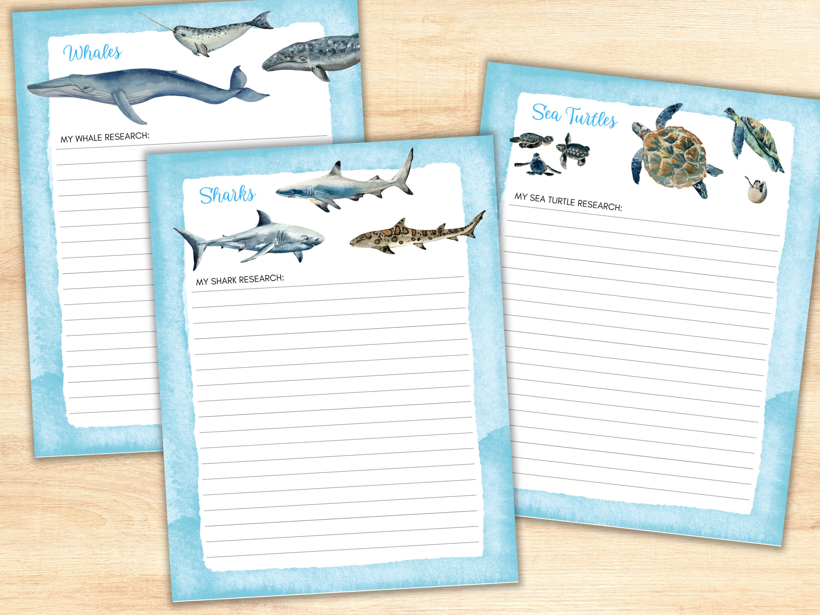 Ocean Animals Unit Study: Sea Creature Activity Pack (PDF) - Etsy