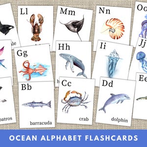 Ocean Alphabet Flashcards, Printable ABC Flashcards, Ocean Animals ...