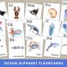 Ocean Alphabet Flashcards, Printable ABC Flashcards, Ocean Animals ...