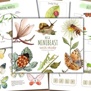 Minibeast Life Cycle Activity: Homeschool Nature Unit (PDF Pattern) - Etsy