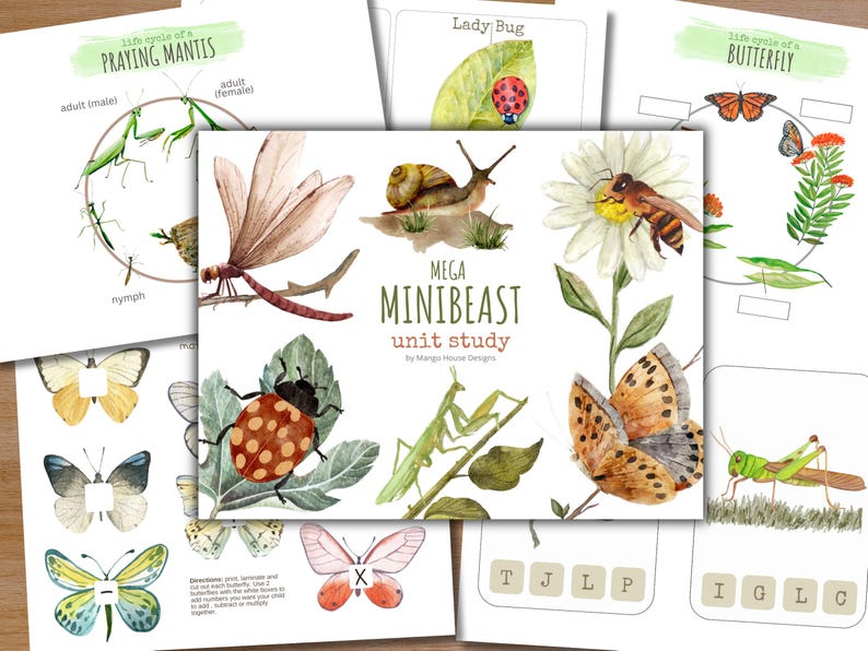 Minibeast Life Cycle Activity: Homeschool Nature Unit (PDF Pattern) - Etsy