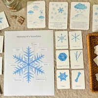Snow Unit Study & Snowflakes Printable Bundle Winter Homeschool ...