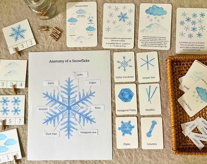 Snow Unit Study & Snowflakes Printable Bundle Winter Homeschool ...