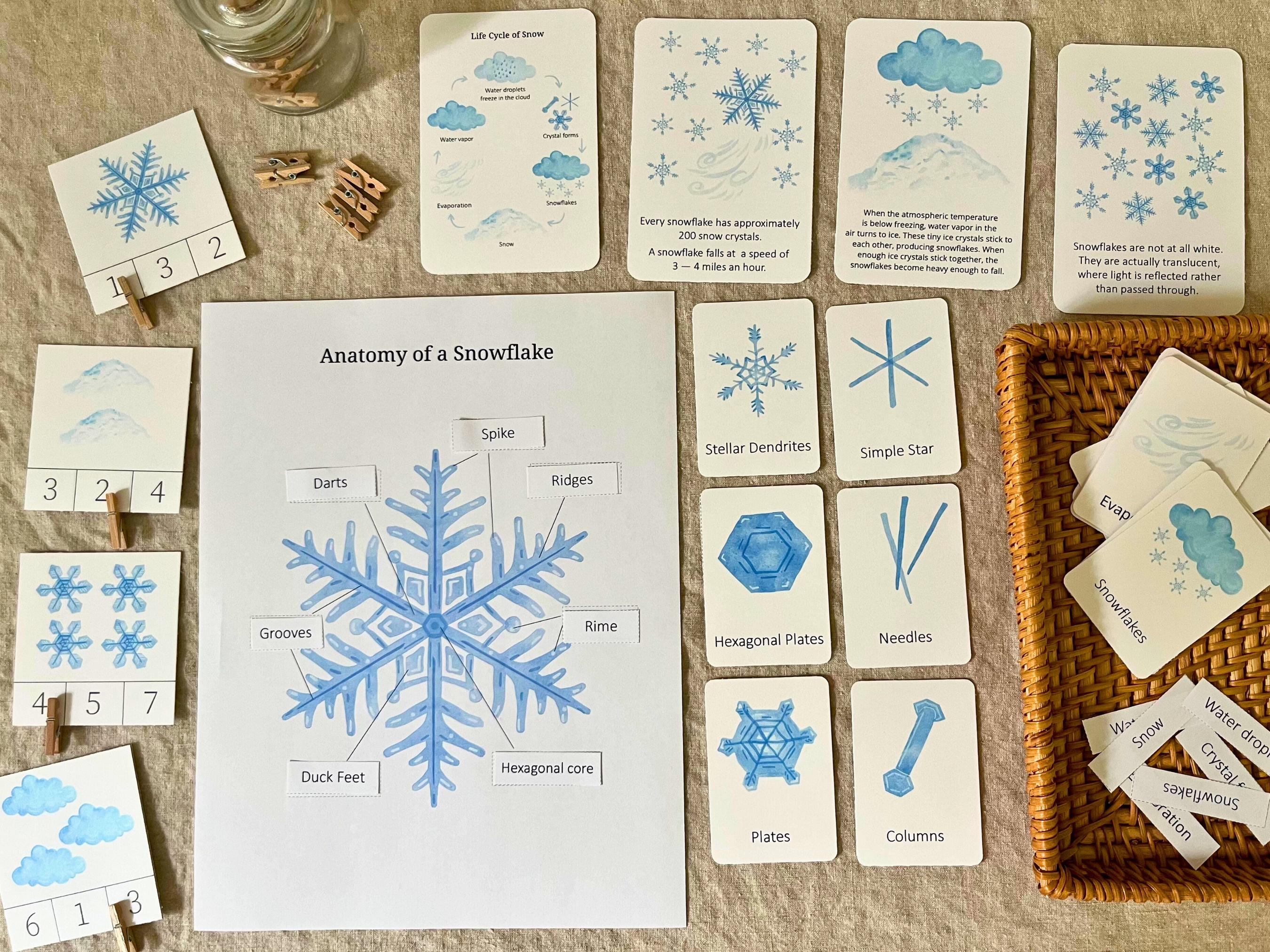 Snowflake Unit Study, Homeschool Worksheets, Snowflake Activity Sheets ...