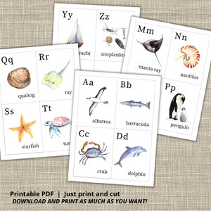 Ocean Alphabet Flashcards, Printable ABC Flashcards, Kids Ocean Animal ...