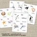 Ocean Alphabet Flashcards, Printable ABC Flashcards, Kids Ocean Animal ...