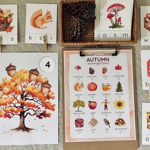 Fall Homeschool Printables: Autumn Nature Study, Leaf Identification ...
