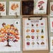 Fall Homeschool Printables: Autumn Nature Study, Leaf Identification ...