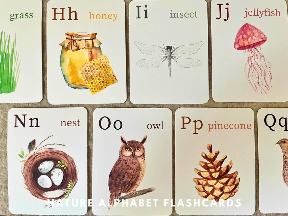 Nature Alphabet Flashcards: Watercolor ABC Cards (printable) - Etsy