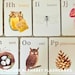 Nature Alphabet Flashcards: Watercolor ABC Cards (printable) - Etsy