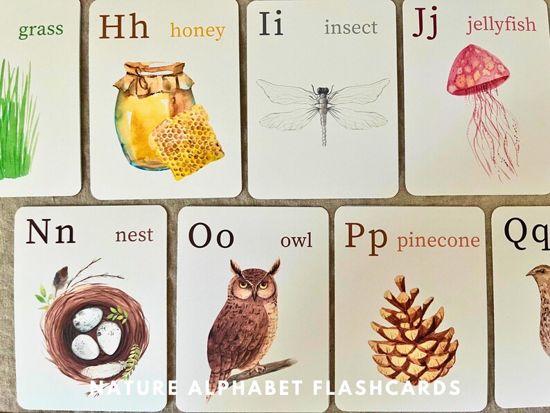 Nature Alphabet Flashcards: Watercolor ABC Cards (printable) - Etsy