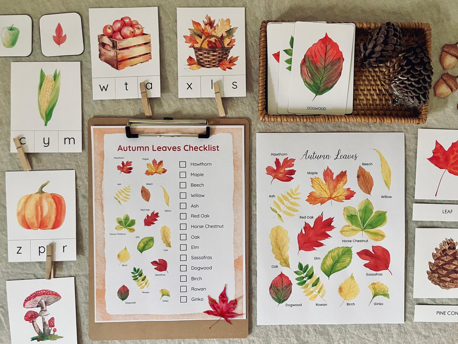 Autumn Unit Study, Fall Homeschool Printables, Fall Activity Pages ...