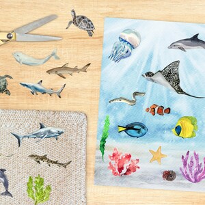 Ocean Animals Unit Study: Sea Creature Activity Pack (PDF) - Etsy