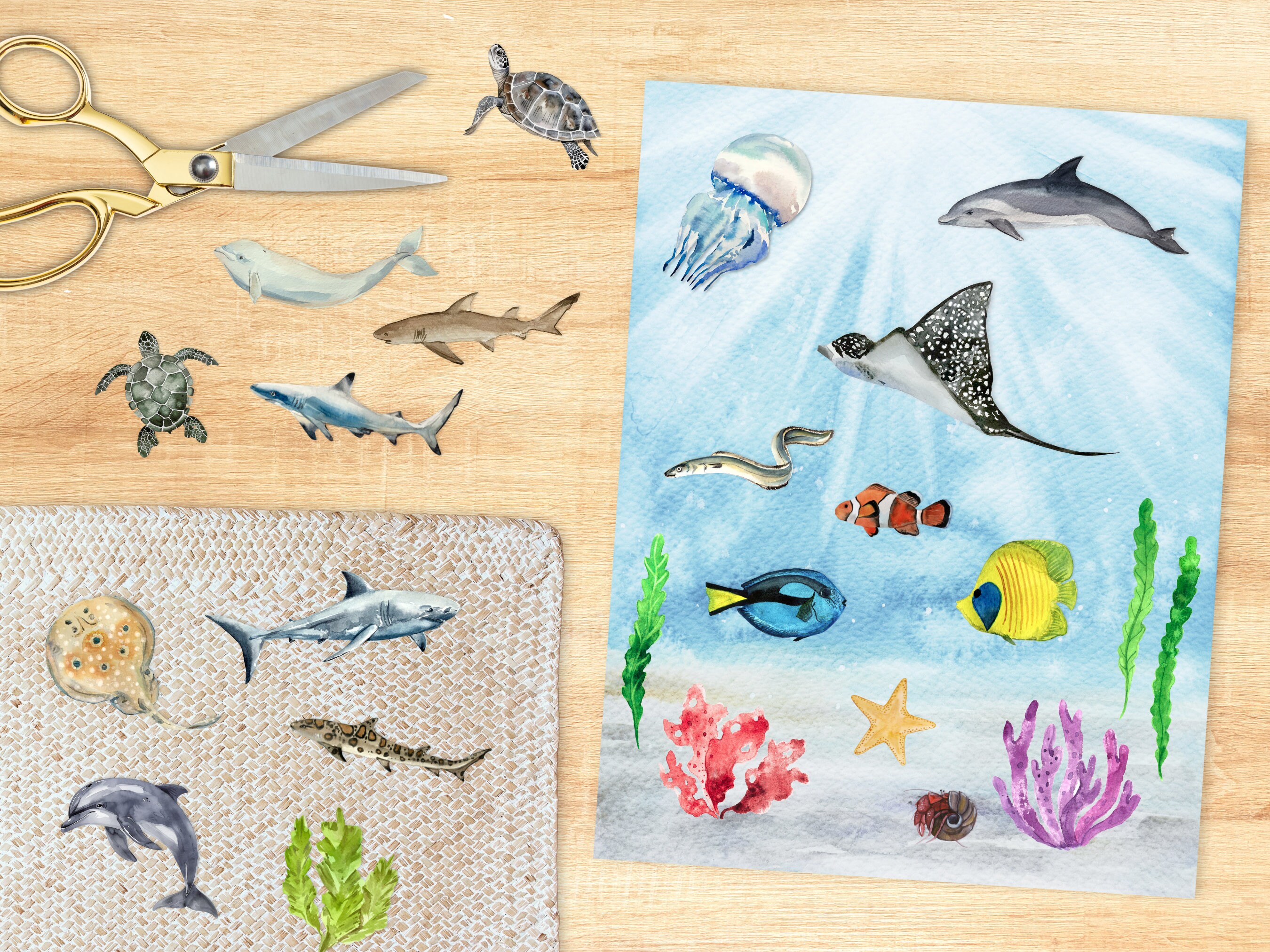 Ocean Animals Unit Study: Sea Creature Activity Pack (PDF) - Etsy
