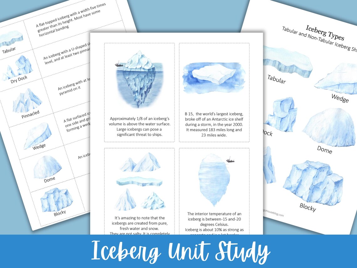 Iceberg Unit Study: Homeschool Printable Bundle, Diorama Craft - Etsy
