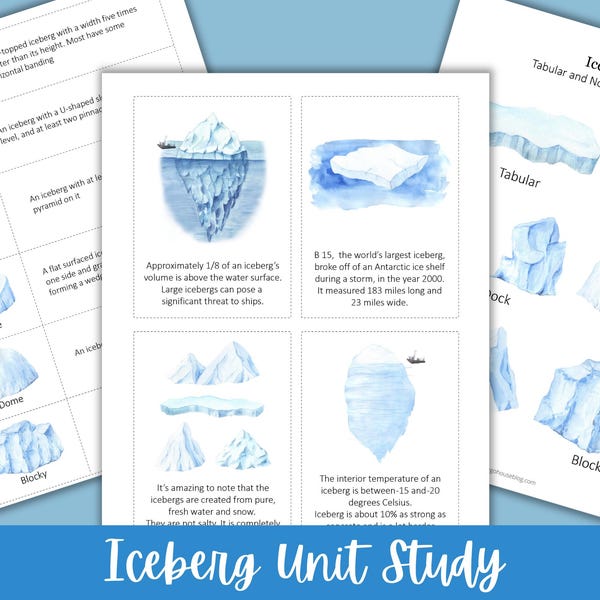 50 States Unit Study, US Fifty States and Capitals Workbook, 50 States ...
