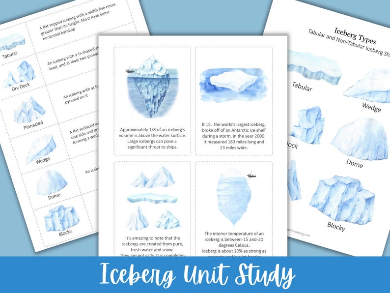 Iceberg Unit Study: Homeschool Printable Bundle, Diorama Craft - Etsy
