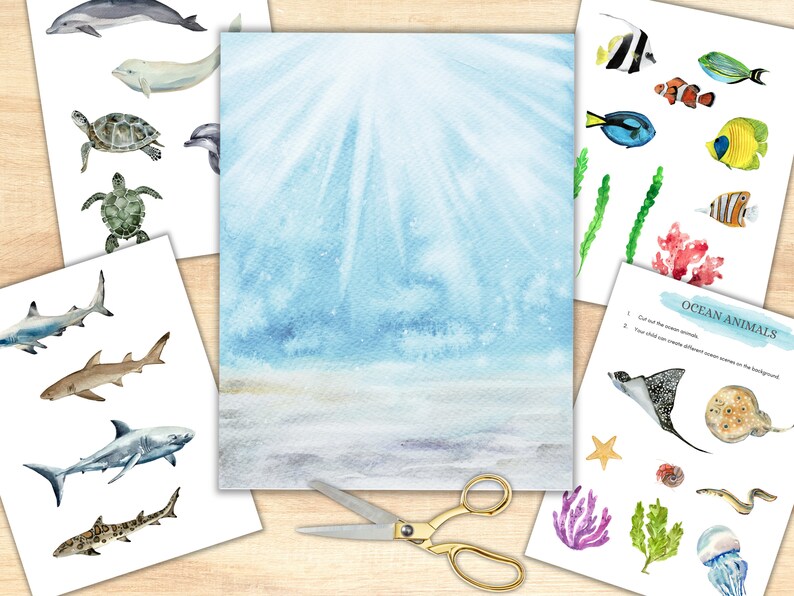 OCEAN Animals Unit Study, Sea Creature Activity Pack, Ocean Bundle ...