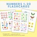 Number Flashcards, Numbers 1-20 Cards, Flash Cards, Preschool ...