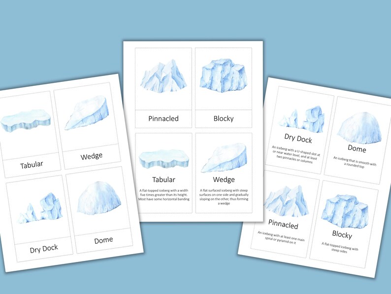 Iceberg Unit Study: Homeschool Printable Bundle, Diorama Craft - Etsy