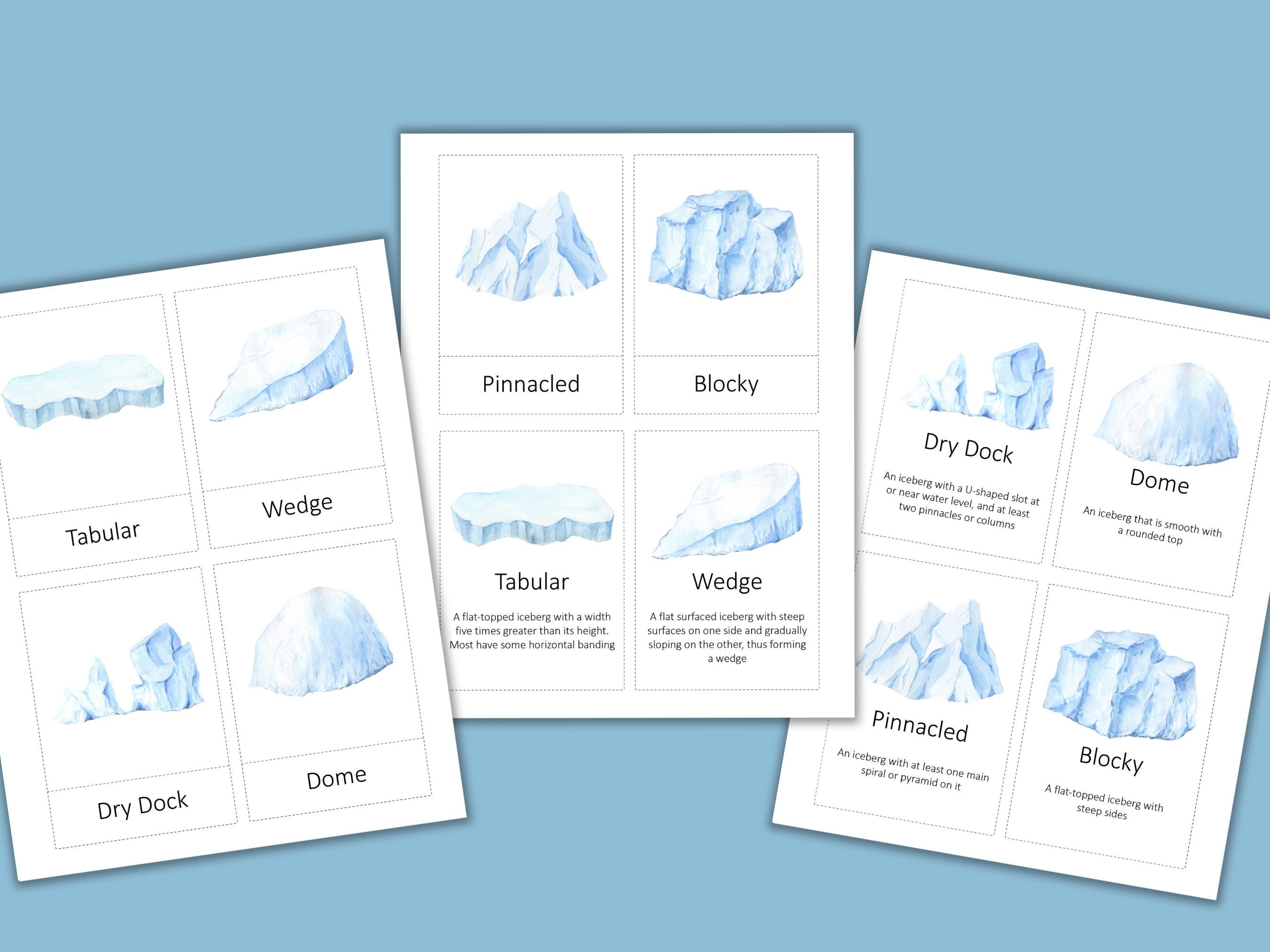 Iceberg Unit Study: Homeschool Printable Bundle, Diorama Craft - Etsy
