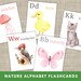 Nature Alphabet Flashcards: Watercolor ABC Cards (printable) - Etsy