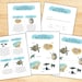 Ocean Animals Unit Study: Sea Creature Activity Pack (PDF) - Etsy