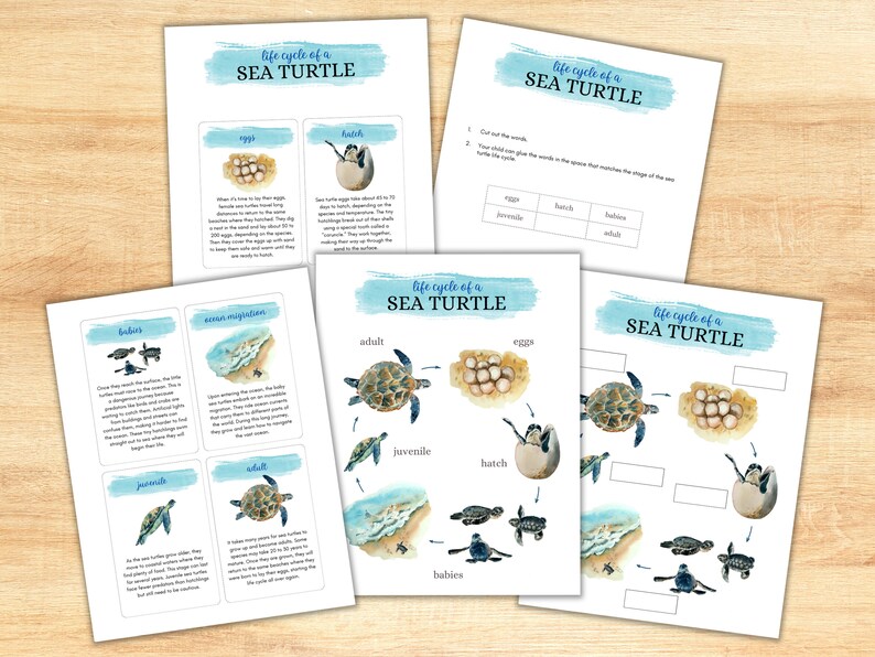 Ocean Animals Unit Study: Sea Creature Activity Pack (PDF) - Etsy
