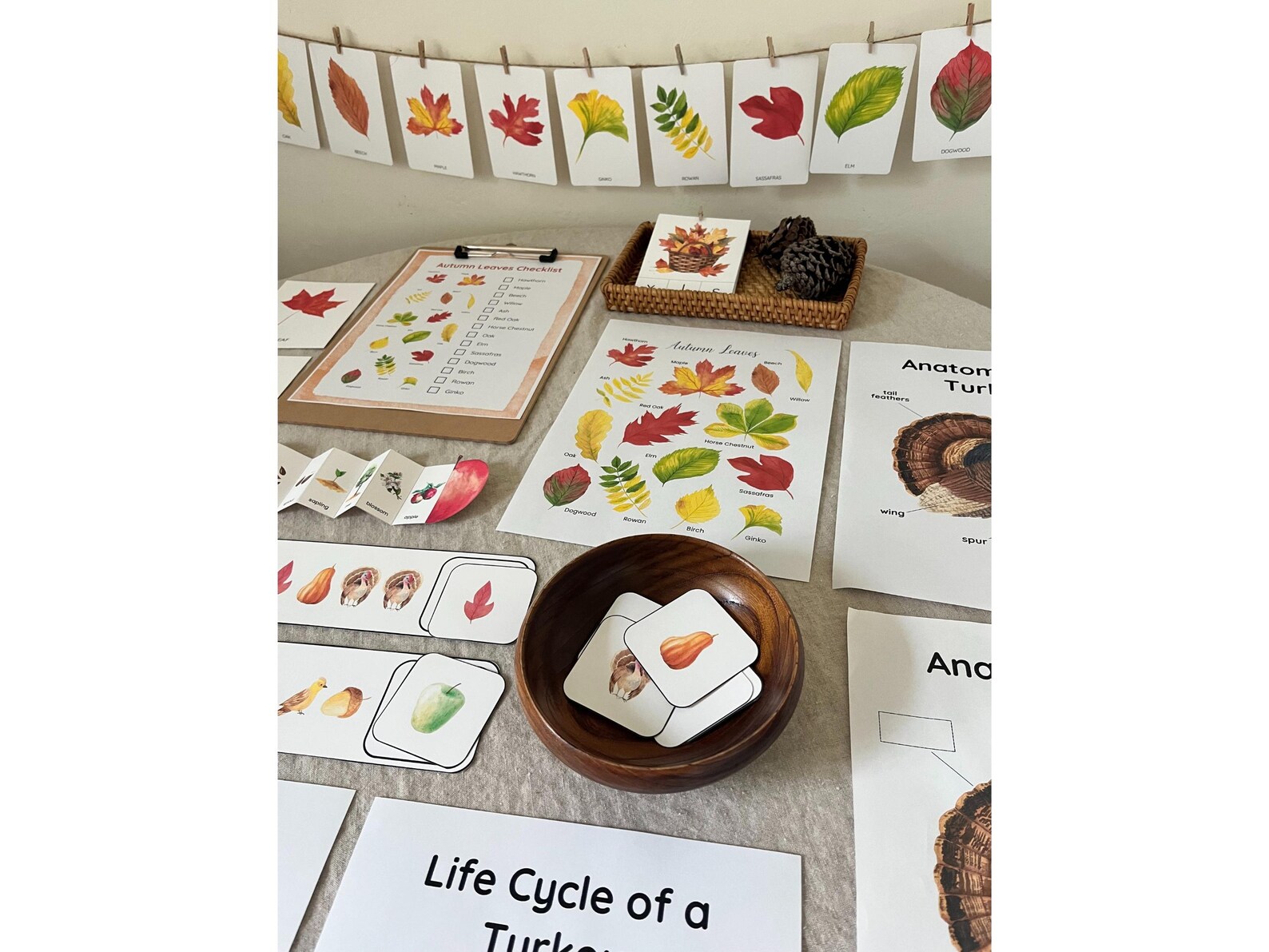 Autumn Unit Study, Fall Homeschool Printables, Fall Activity Pages ...