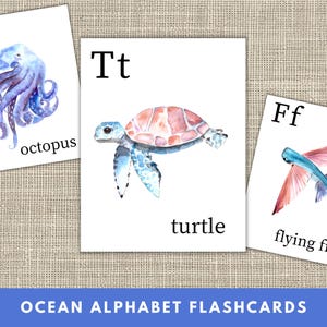Ocean Alphabet Flashcards, Printable ABC Flashcards, Ocean Animals ...