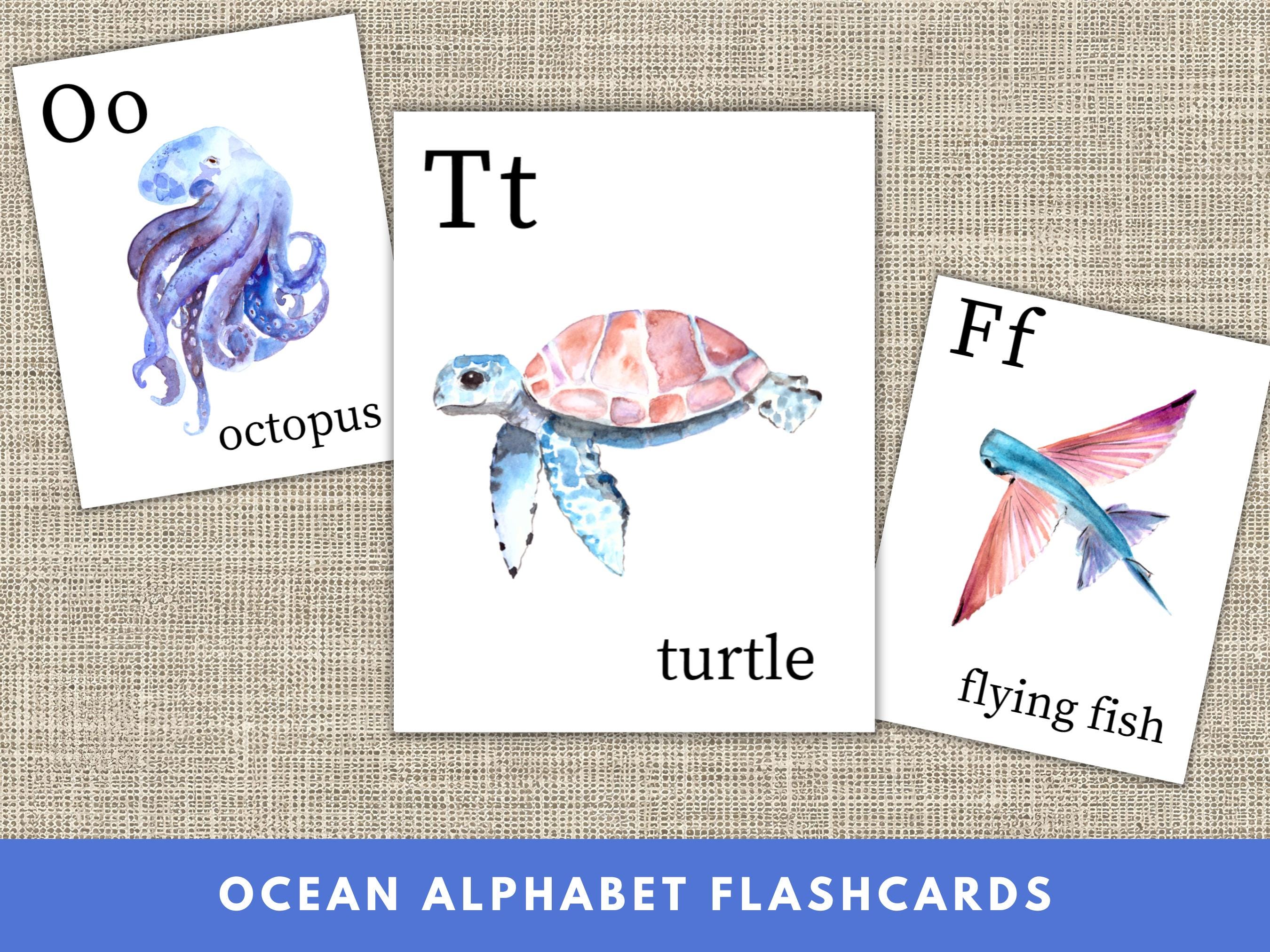 Ocean Alphabet Flashcards, Printable ABC Flashcards, Ocean Animals ...