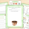 Garden Unit Study, Gardening Activity Pack, Spring Garden Bundle ...