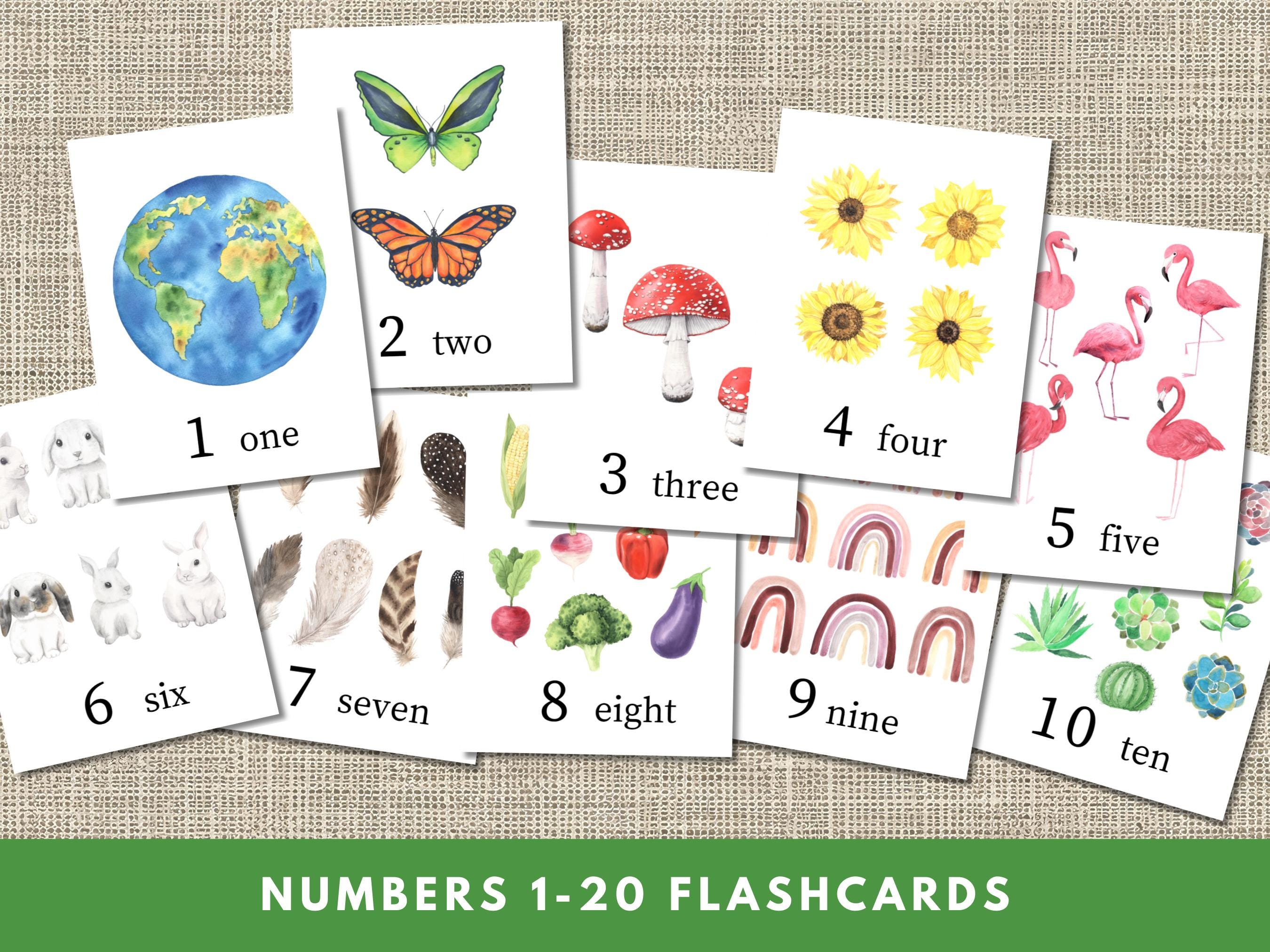 Number Flashcards, Numbers 1-20 Cards, Flash Cards, Preschool ...