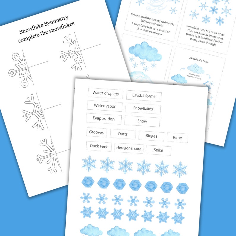 Snowflake Unit Study Homeschool Worksheets Snowflake - Etsy