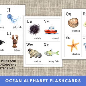 Ocean Alphabet Flashcards, Printable ABC Flashcards, Ocean Animals ...