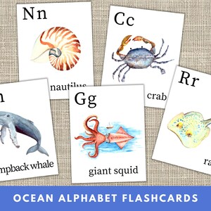 Ocean Alphabet Flashcards, Printable ABC Flashcards, Ocean Animals ...
