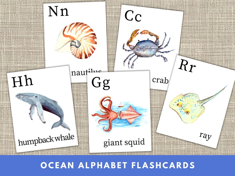 Ocean Alphabet Flashcards, Printable ABC Flashcards, Ocean Animals ...
