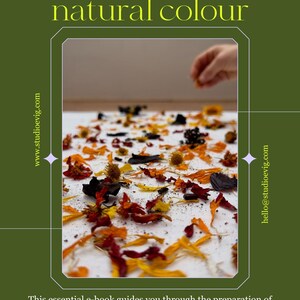 Downloadable PDF Guide. Scouring & Mordanting for Natural Dyes ...