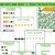 Editable & Printable Luck of the Irish Bundle St.patrick's Day ...