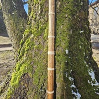 Rain Stick - Etsy