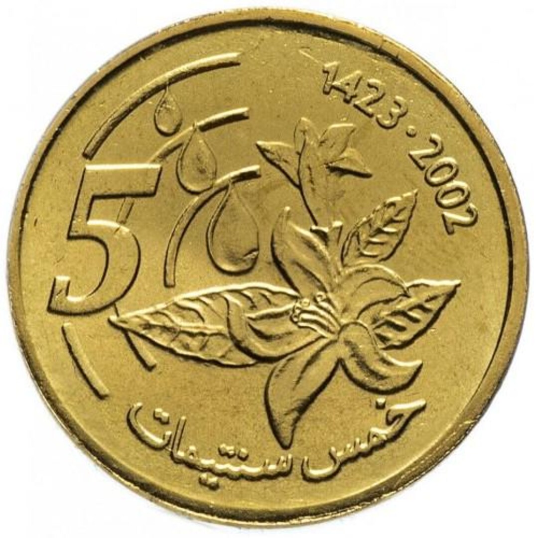 Rare 2002 Moroccan 5 Centimes Coin - Etsy