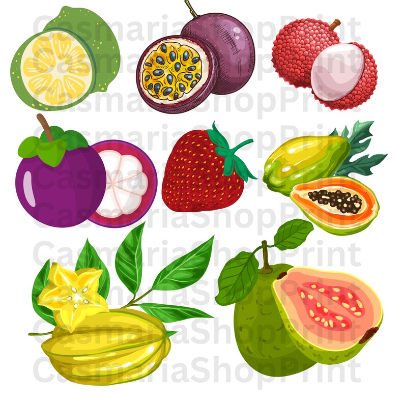 Fruit Clipart Art Set,png.svg.eps сlipart. Vector Fruits Graphic. Food ...
