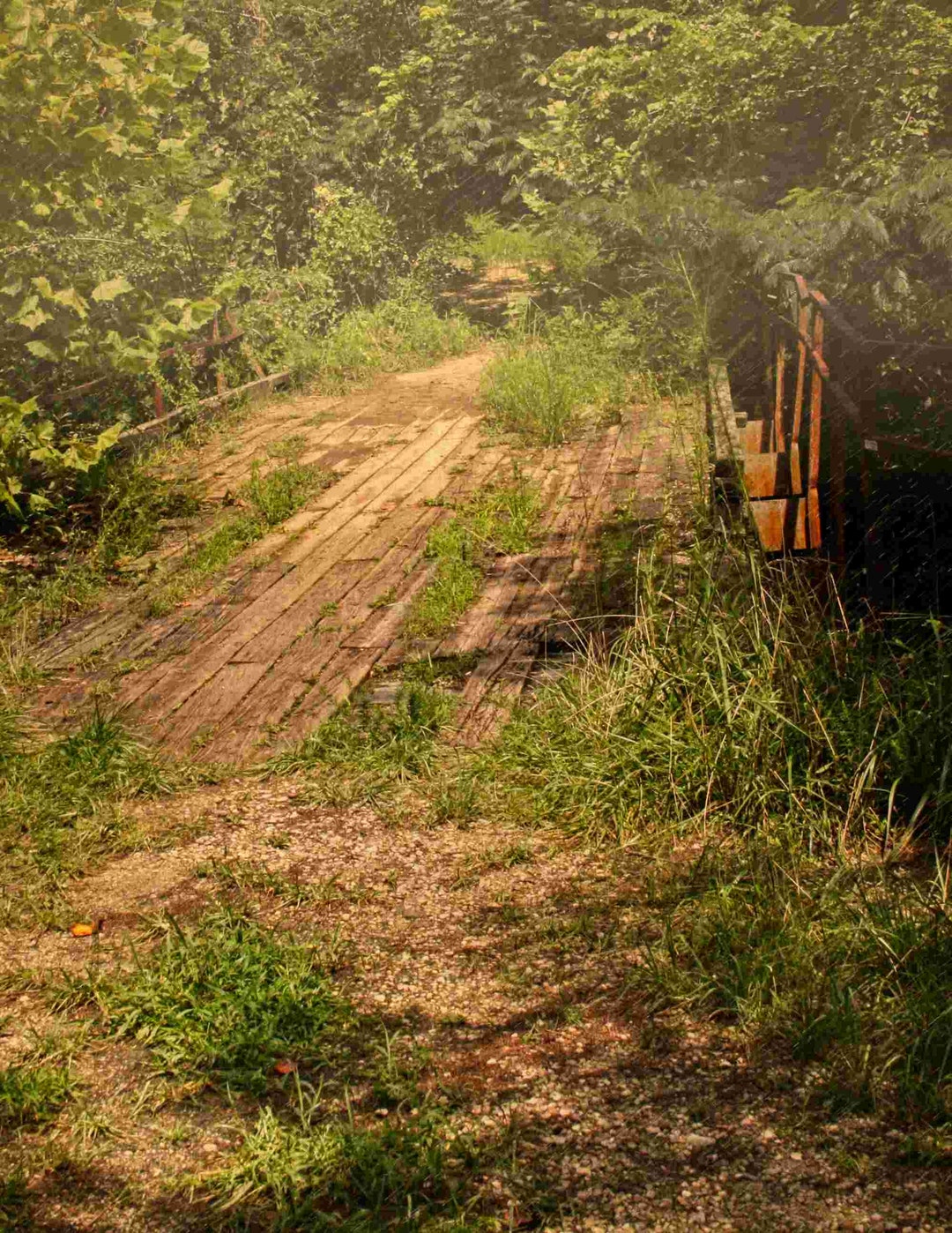 Tranquil Woodland Path Along a Rustic Bridge in Chewacla State Park ...
